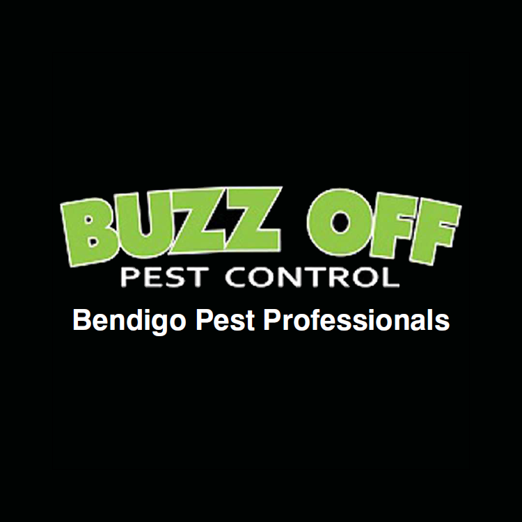 Buzz Off Pest Control - GGS Business Directory